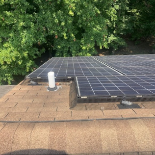 Solar Panel Pest Abatement | Sunfinity Solar and Roofing